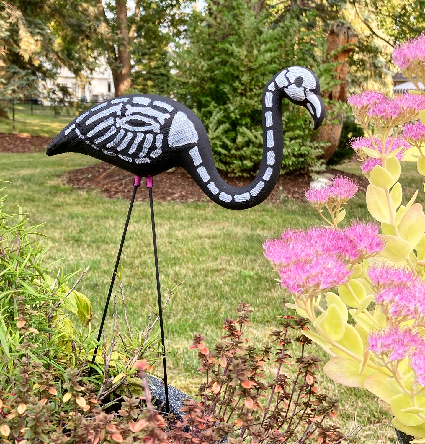 {DIY} Skeleton Flamingos | Megan's Island
